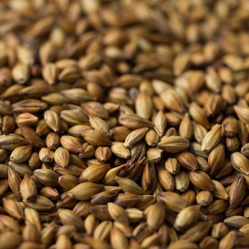 Aurora Malt (Aromatic) (Gladfield) - Hoppy Days Brewing Supplies